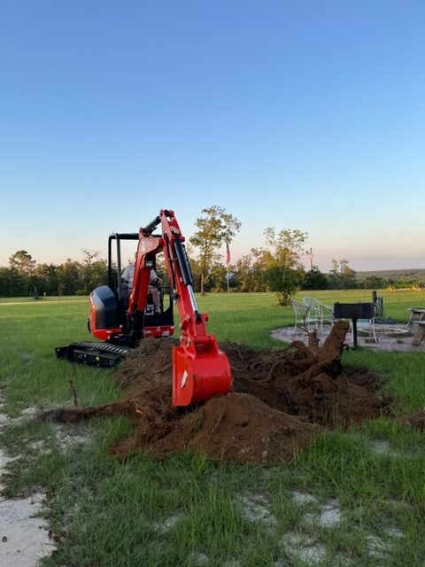 Forestry Farms, LLC – Growing Trees For The Future!