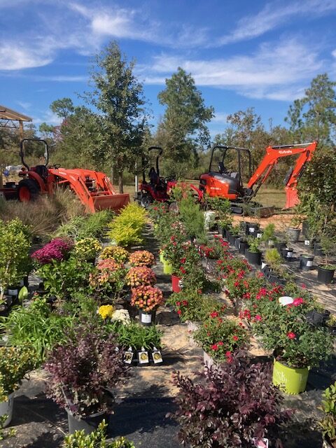 Forestry Farms, LLC – Growing Trees For The Future!